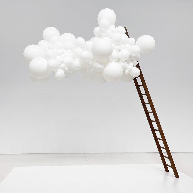 POINT DE VUE - Charles Pétillon